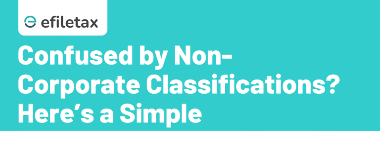 Classification of Non-Corporate Entities under Income Tax - efiletax